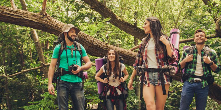 Explore options – Careerify